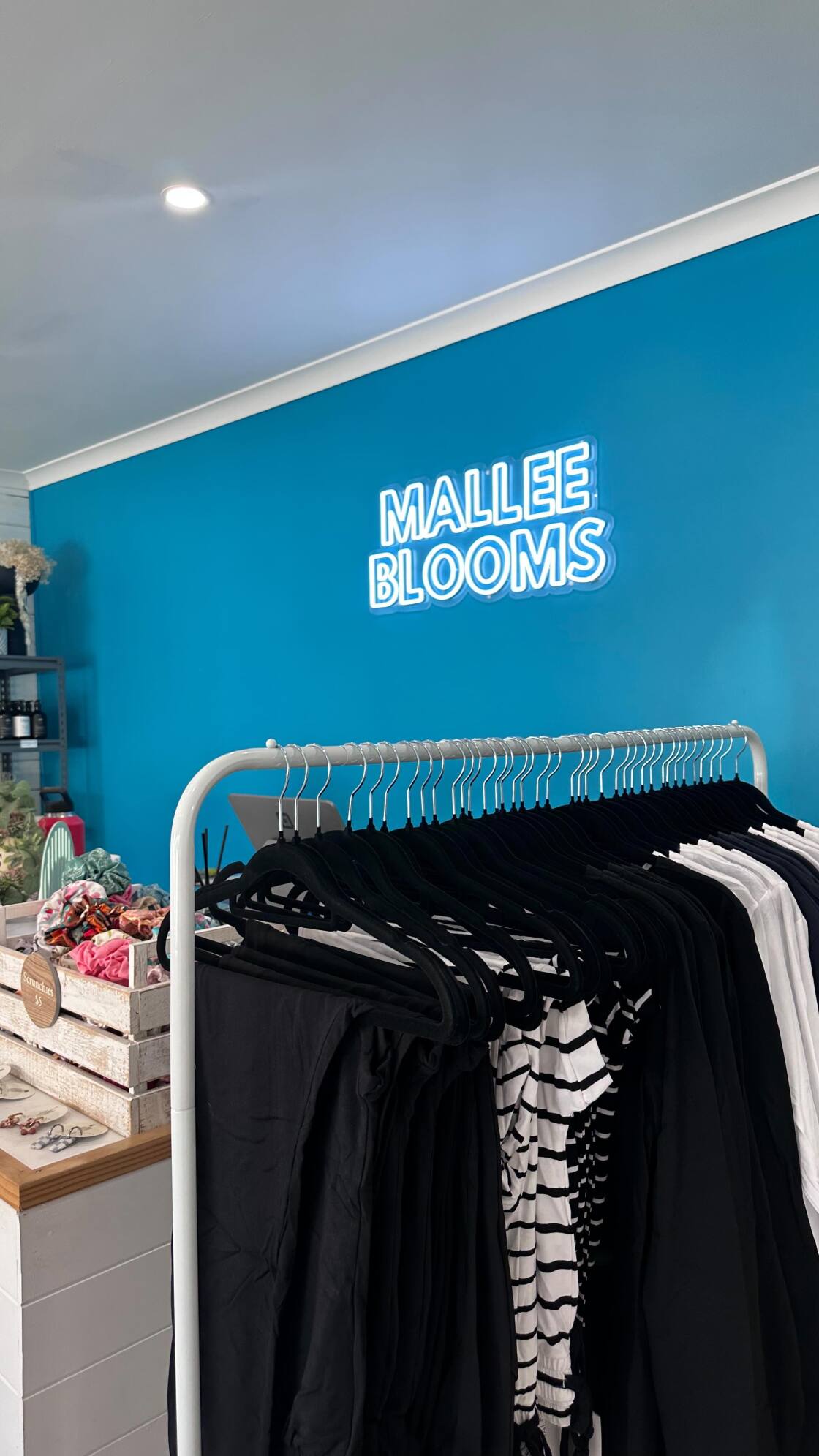 Home | Mallee Blooms